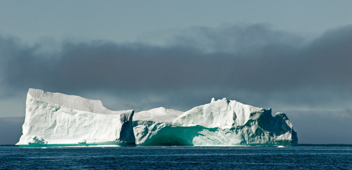 NFLD-Labrador trip photos | Nature Trek Canada